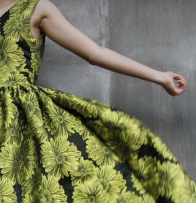 The Exploding Dress - Transform & Nourish